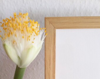 Light Wood Frame - Etsy