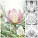 Mindful Fantasy Lotus Flower Coloring Book-stress Relieving - Etsy