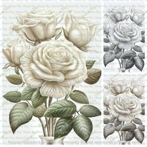 Realistic Roses Coloring Page for Adults, Summer Coloring Page, Rose ...