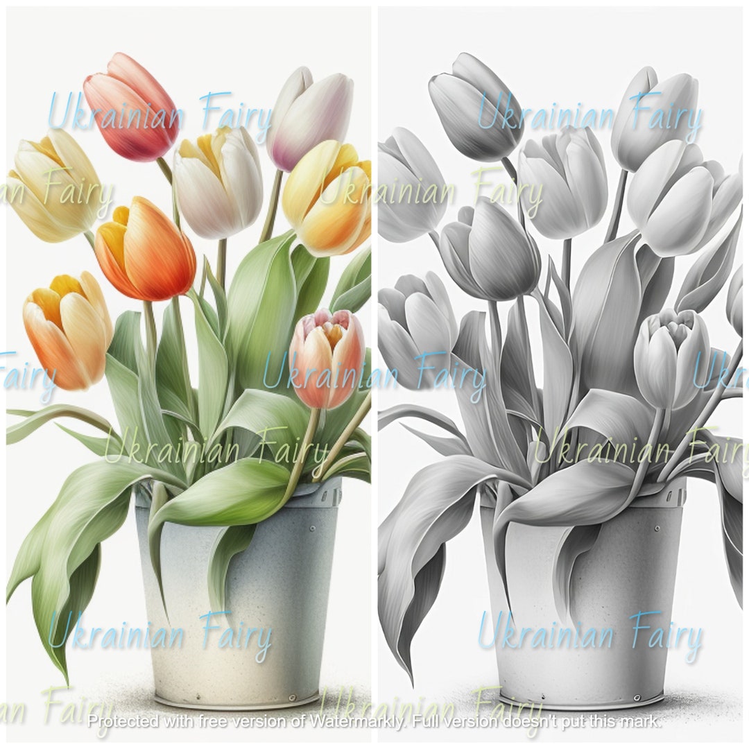 Realistic Tulips Coloring Pages for Adults, Spring Coloring Pages ...