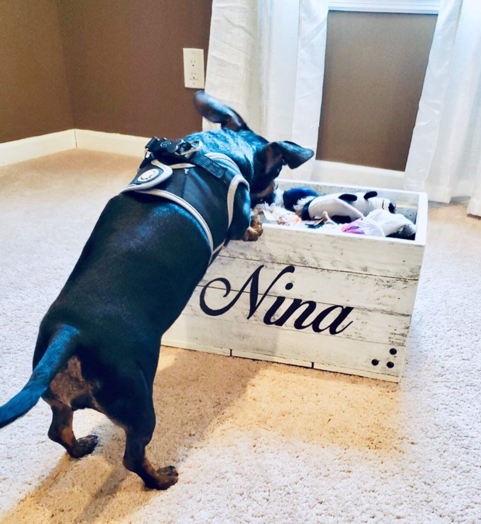 Personalized Dog Toy Box Large Storage Pet Crate Pet | Etsy