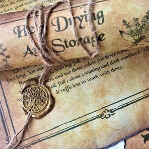 Book of Shadows Scrolls Sealed With a Tree of Life Wax Seal, Wiccan ...