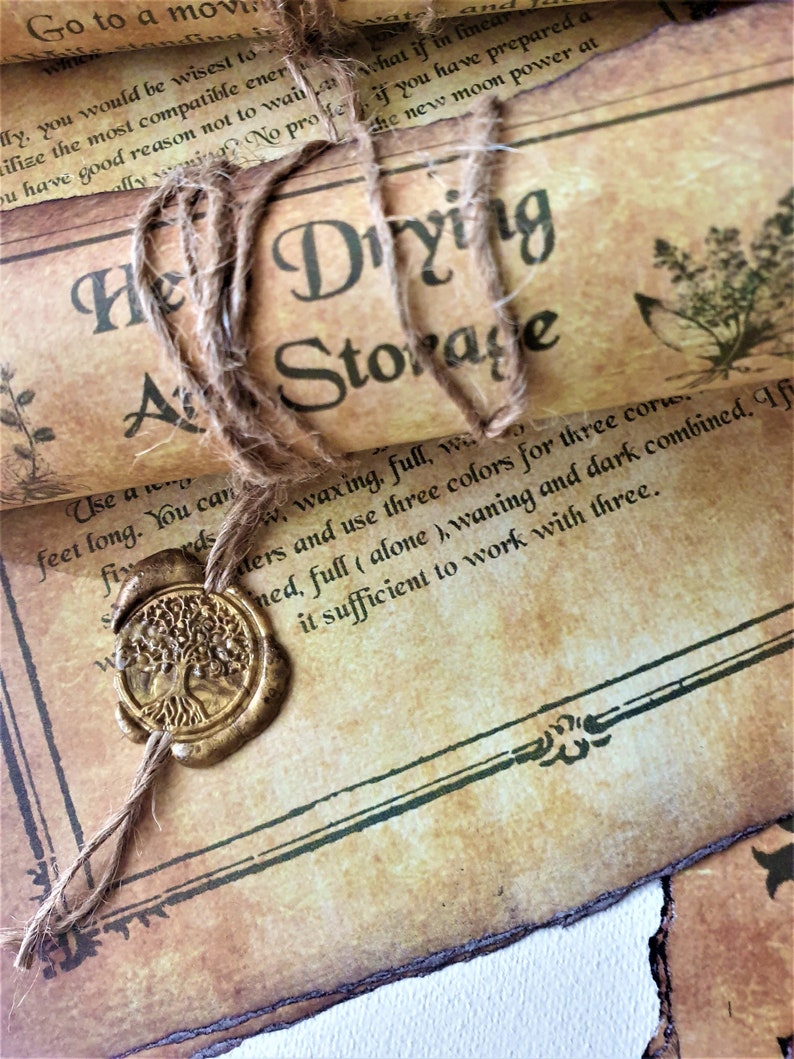 Book of Shadows Scrolls Sealed With a Tree of Life Wax Seal - Etsy