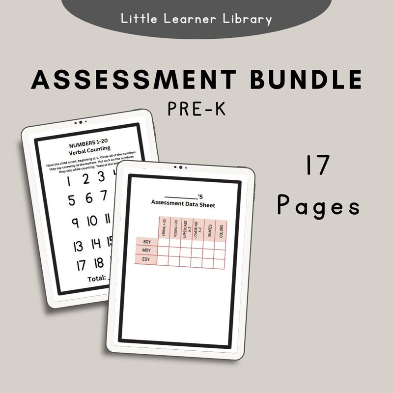 Preschool Assessment - Etsy