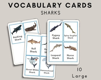 Shark Vocabulary Cards, Sharks Printable, Literacy Center, Writing ...