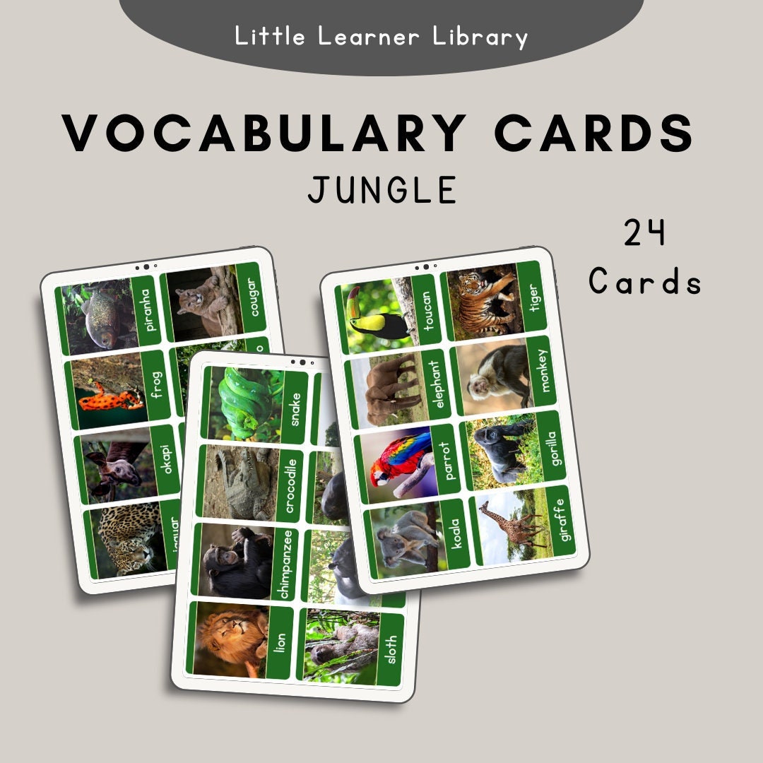 Jungle Vocabulary Cards - Etsy
