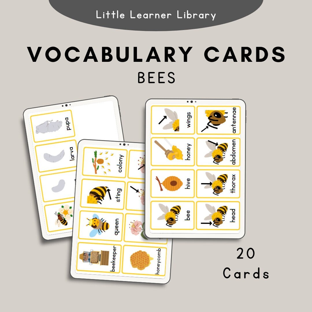 Bee Vocabulary Cards - Etsy