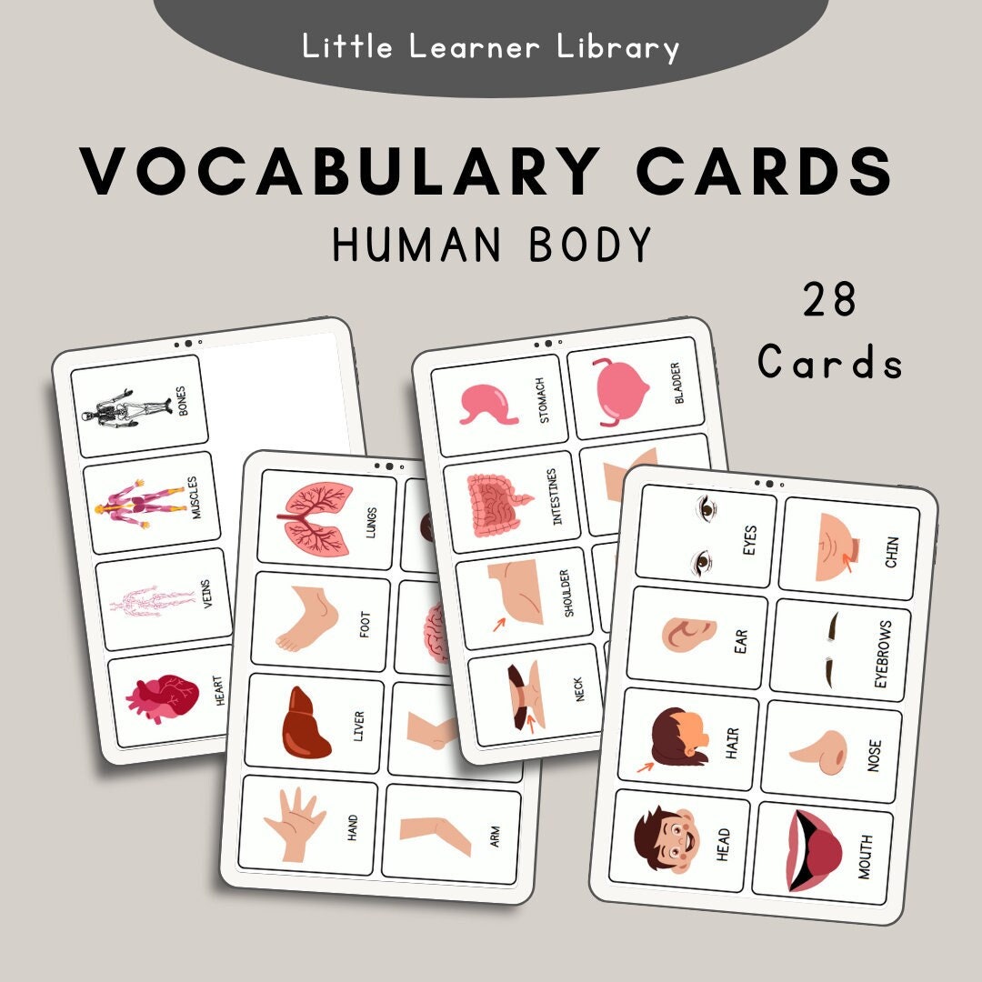 Human Body Vocabulary Cards - Etsy