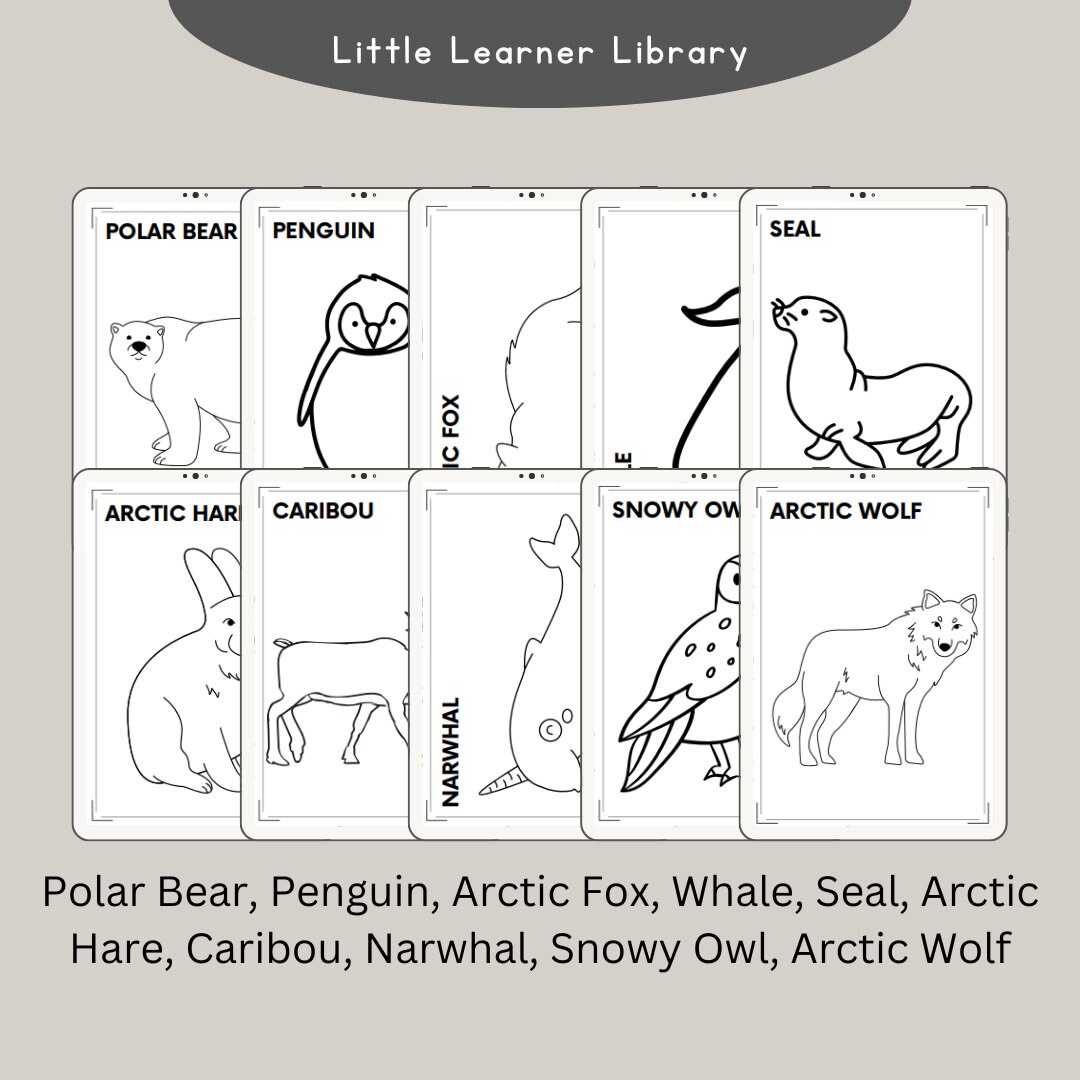 Arctic Animals Simple Coloring Sheets - Set of 10 - Etsy