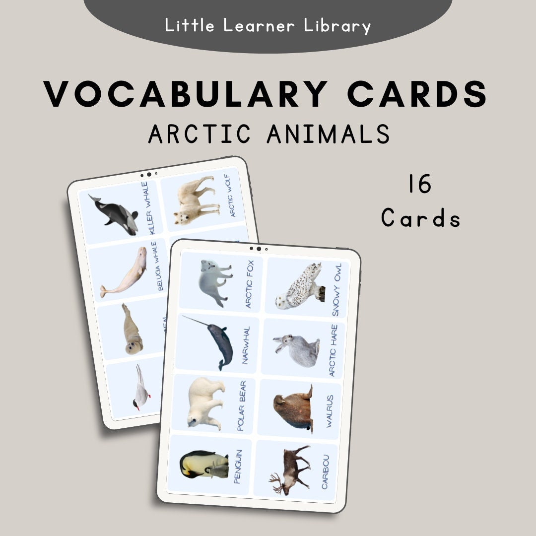 Arctic Animals Vocabulary Cards - Etsy