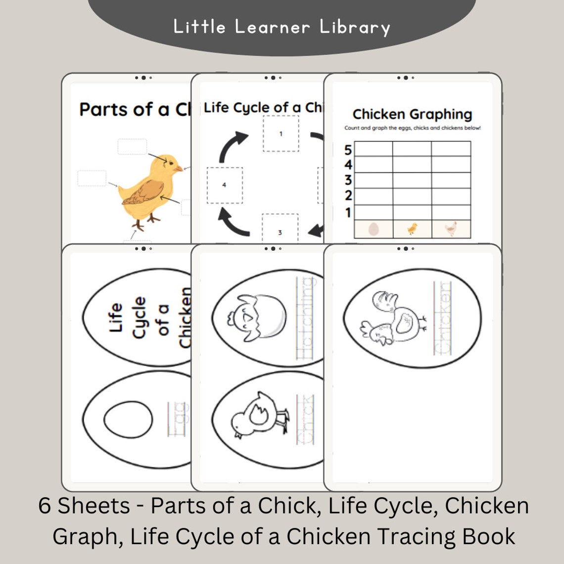 Chicken Life Cycle Activity Bundle - Etsy