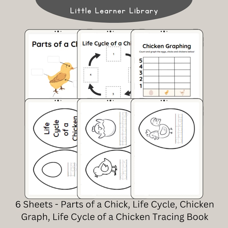 Chicken Life Cycle Activity Bundle - Etsy