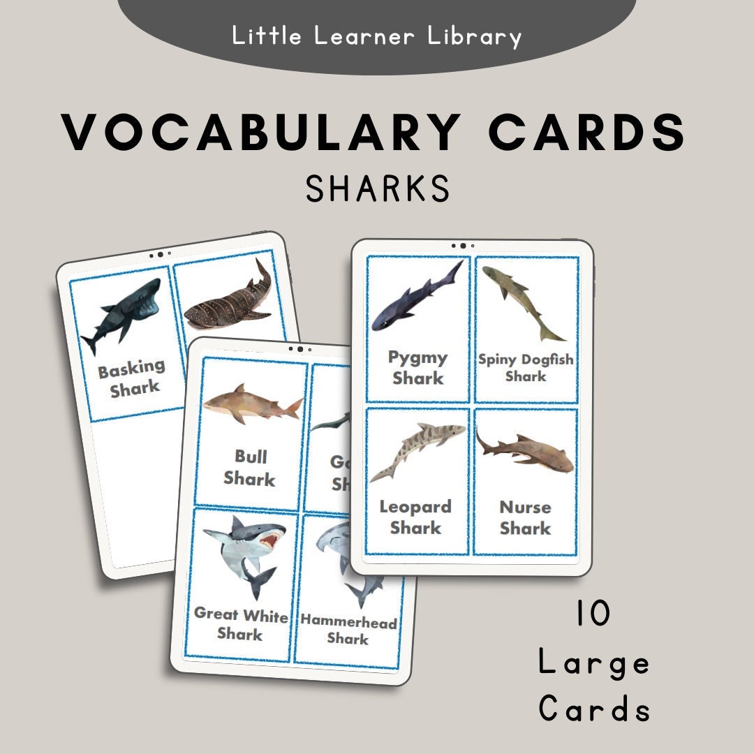 Shark Vocabulary Cards - Etsy