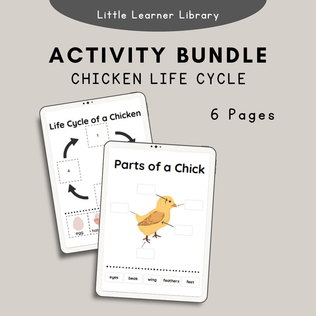 Chicken Life Cycle Activity Bundle - Etsy