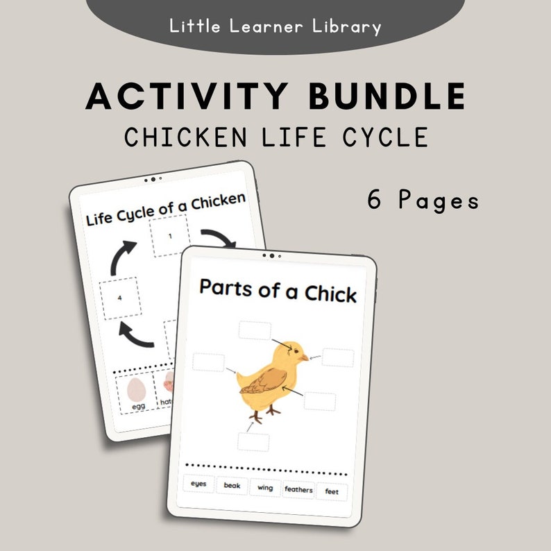 Chicken Life Cycle Activity Bundle - Etsy