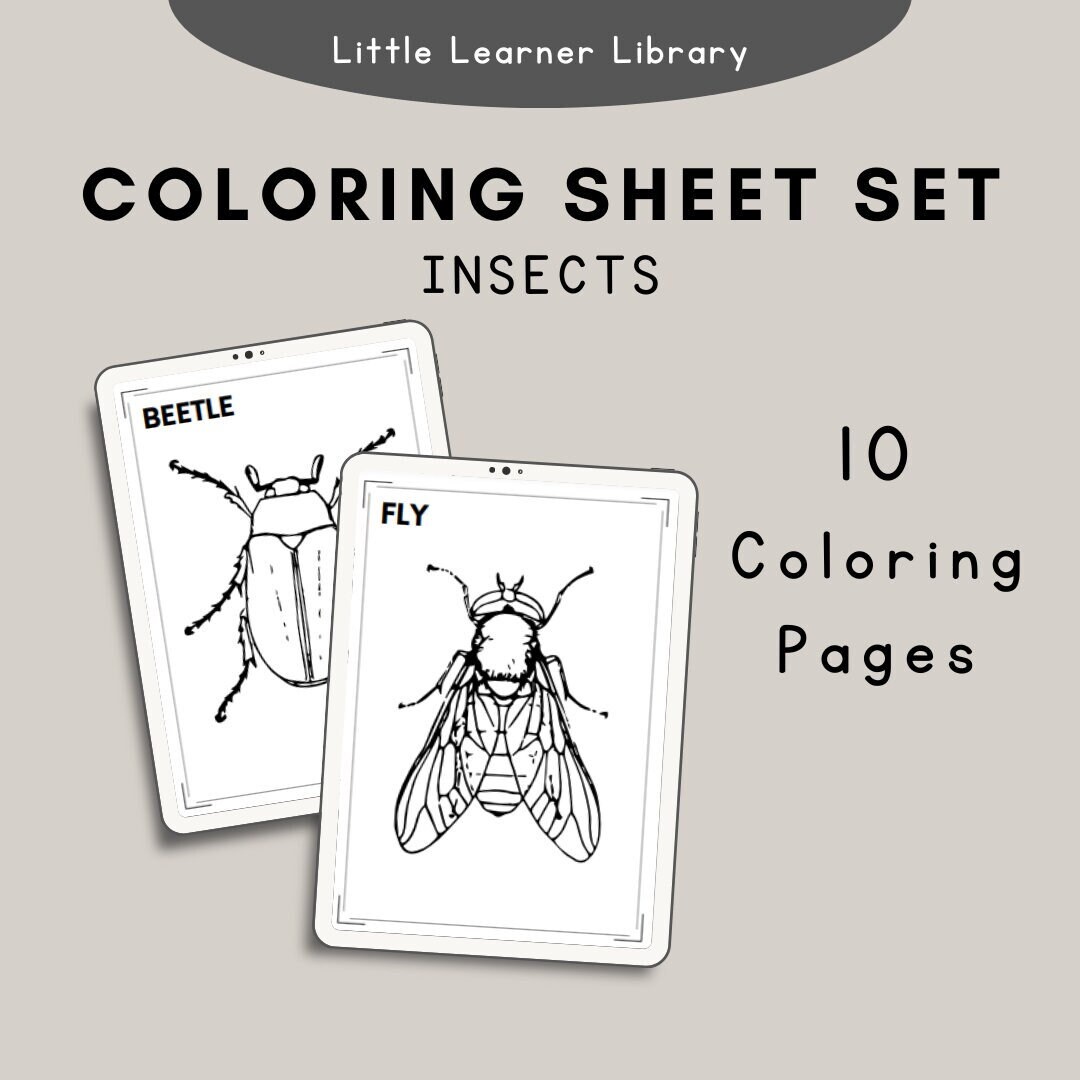 Insect Coloring Sheets - Set of 10 - Etsy