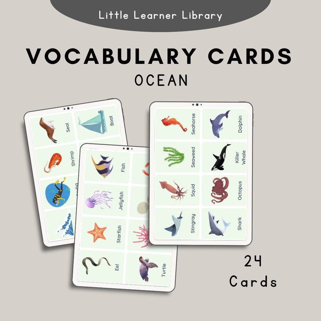 Ocean Vocabulary Cards - Etsy
