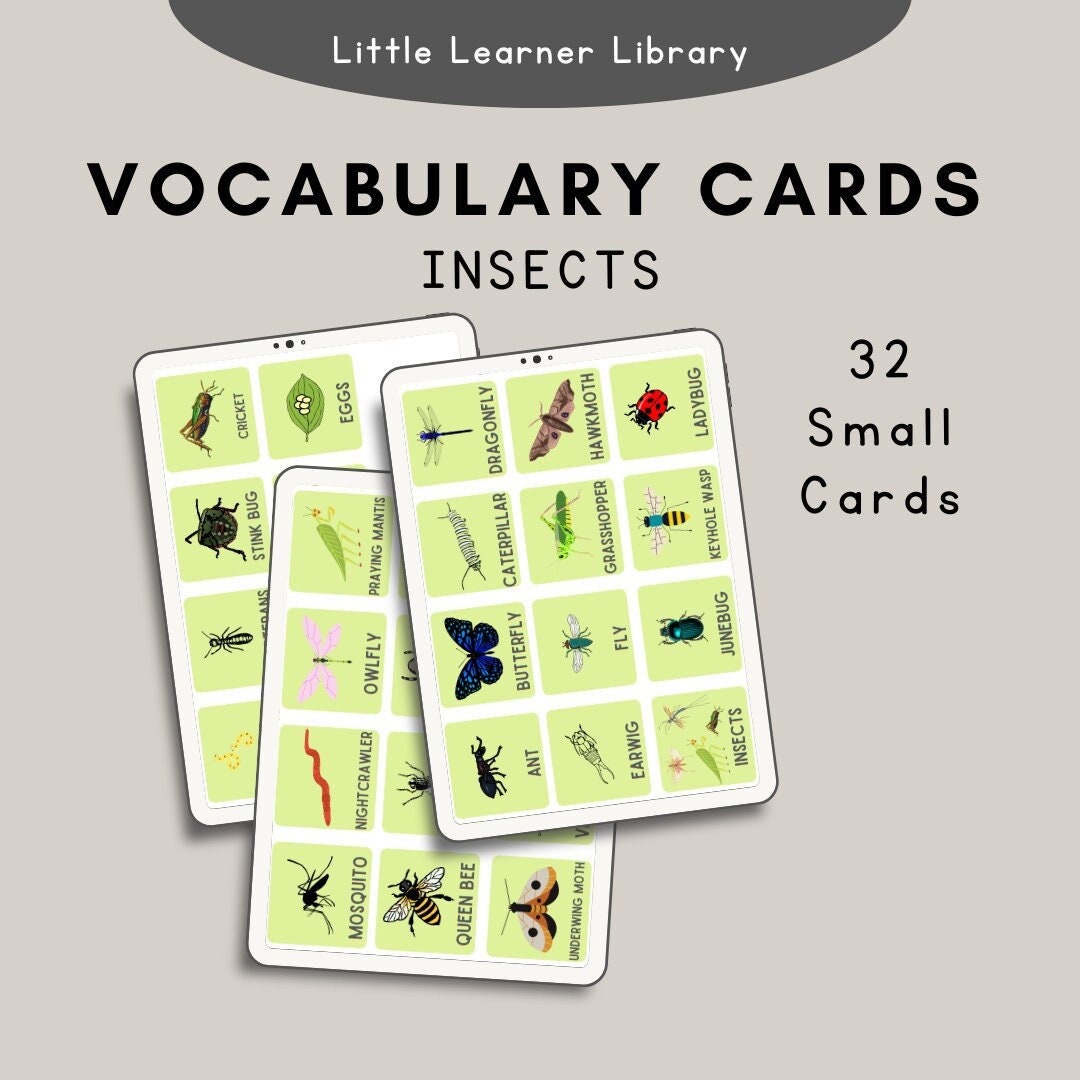 Insect Vocabulary Cards - Etsy