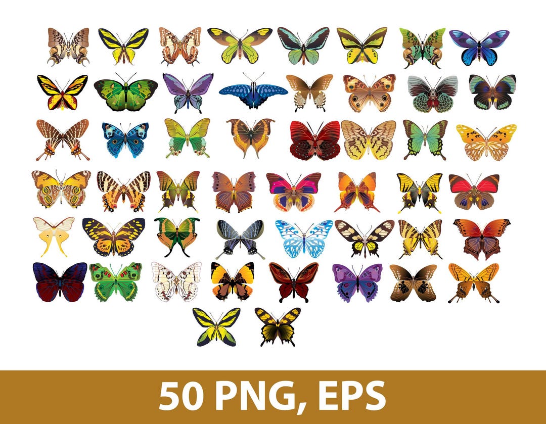 50 Butterfly Clip Art Png and Eps, Different Color Butterlies, PNG ...