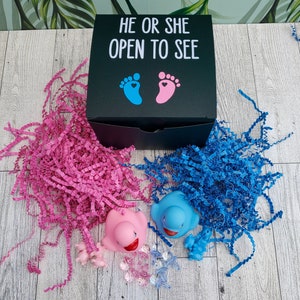 Pink or Blue, We Love You Gender Reveal Christmas Ornament With Free ...