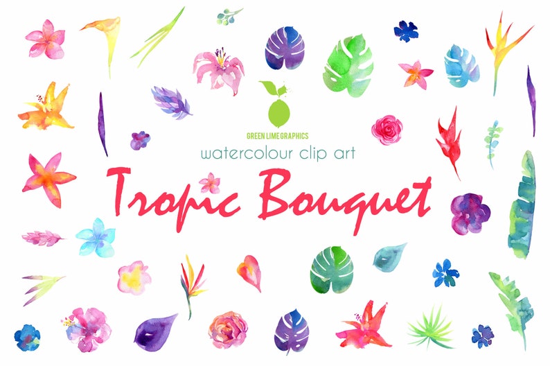 Watercolour Tropical Flowers Clipart Hawaii Clipart Summer - Etsy