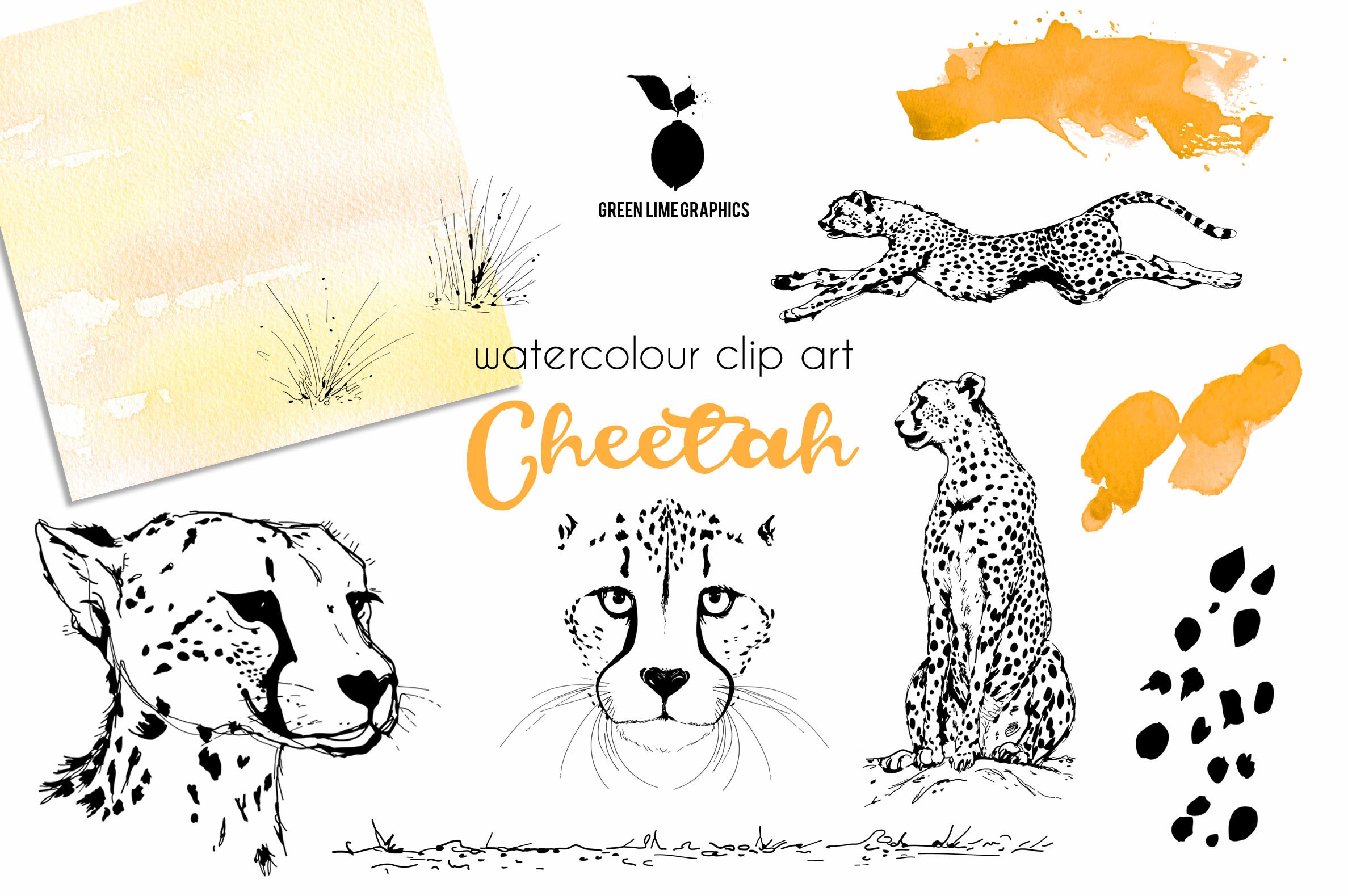 Cheetah Clipart African Safari Clipart Wild Cats Clipart - Etsy UK
