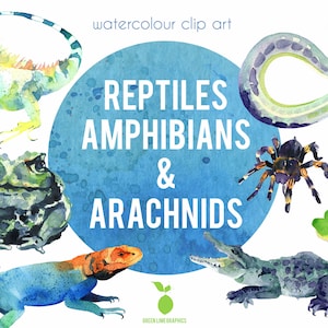 Watercolour Reptiles Clipart Amphibians Snakes Clipart - Etsy