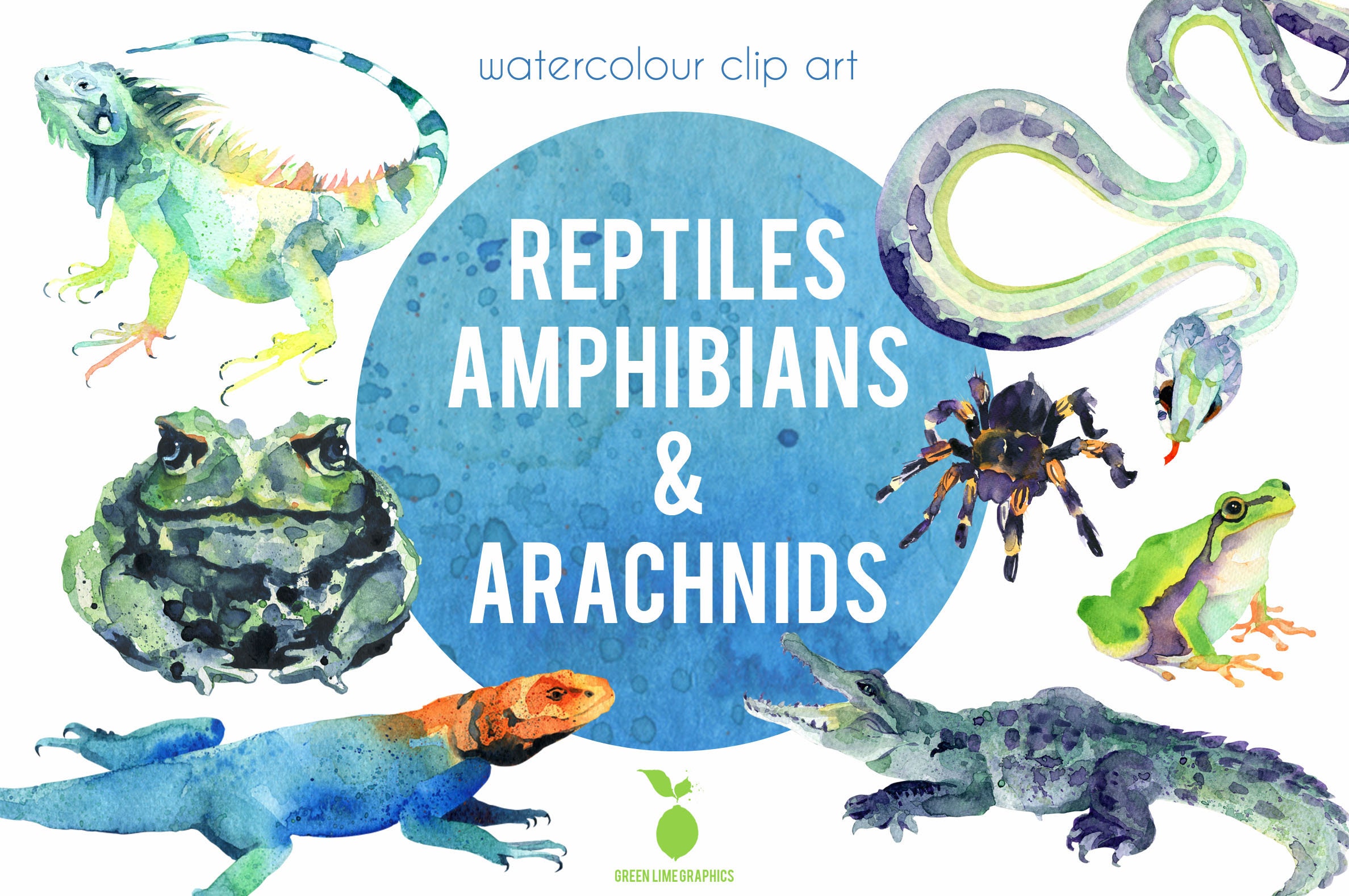 Amphibians And Reptiles Clip Art