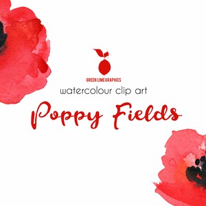 Poppies Clipart, Remembrance Day, Armistice Day, Veterans Day Clipart ...