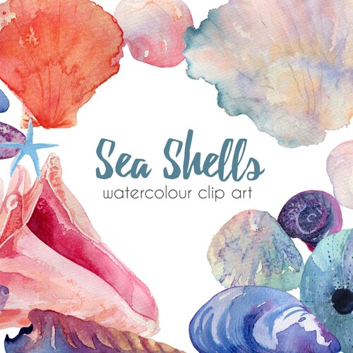 Pastel Seashell Watercolor Clipart Summer Beach Sea Shells - Etsy