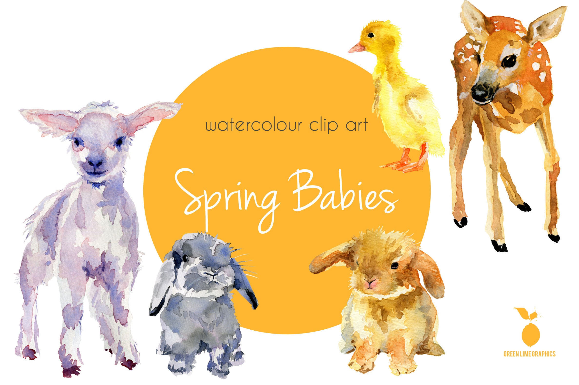 Watercolour Spring Baby Animals Clip Art Hand Painted Animals - Etsy