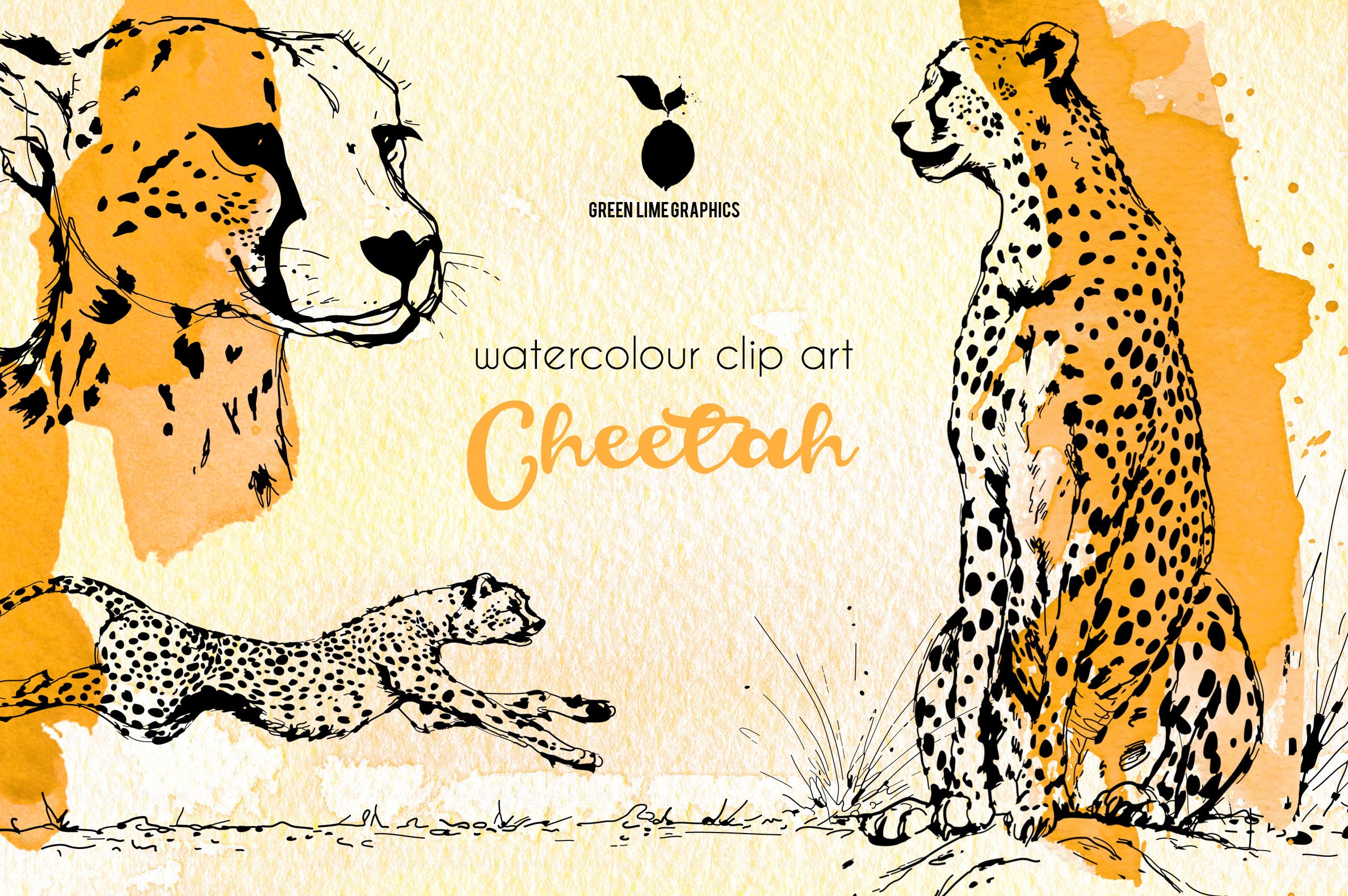 Cheetah Clipart African Safari Clipart Wild Cats Clipart - Etsy UK