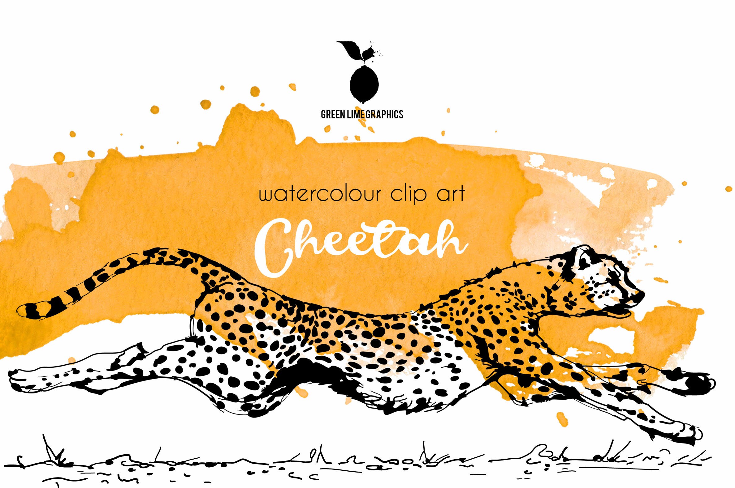 Cheetah Clipart African Safari Clipart Wild Cats Clipart - Etsy UK