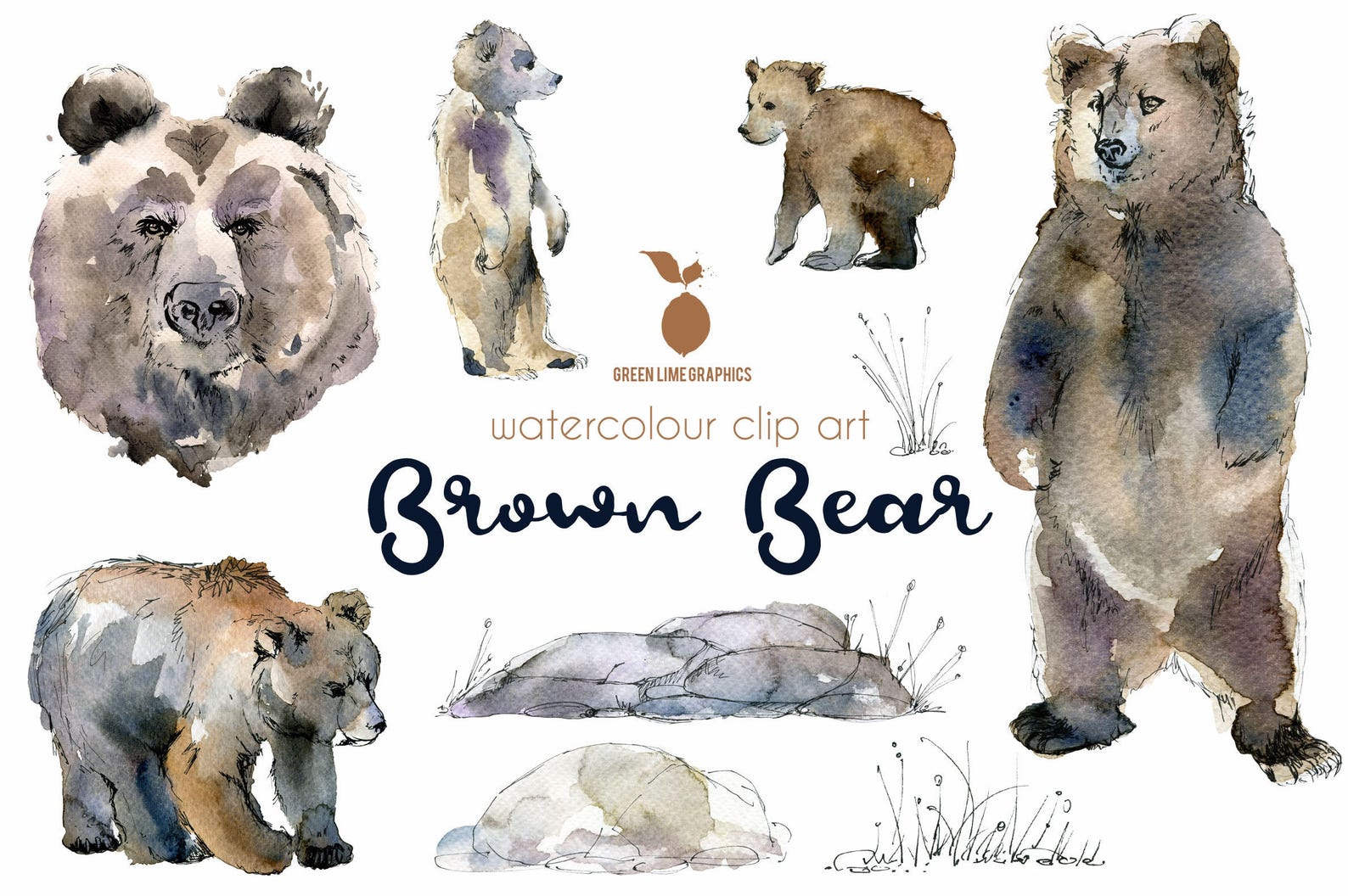 Watercolour Bear Clipart Brown Bear Forest Clipart Woodland | Etsy
