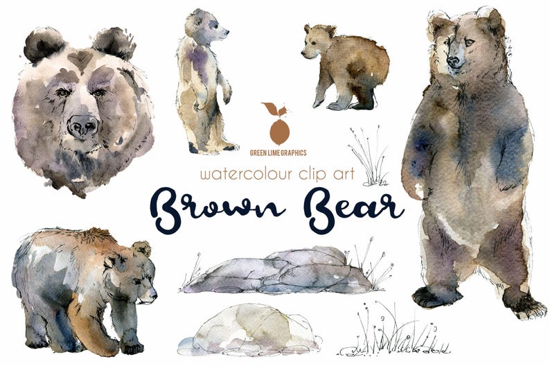 Watercolor Bear Clipart: Forest Animals, Nursery Art (PNG Digital ...