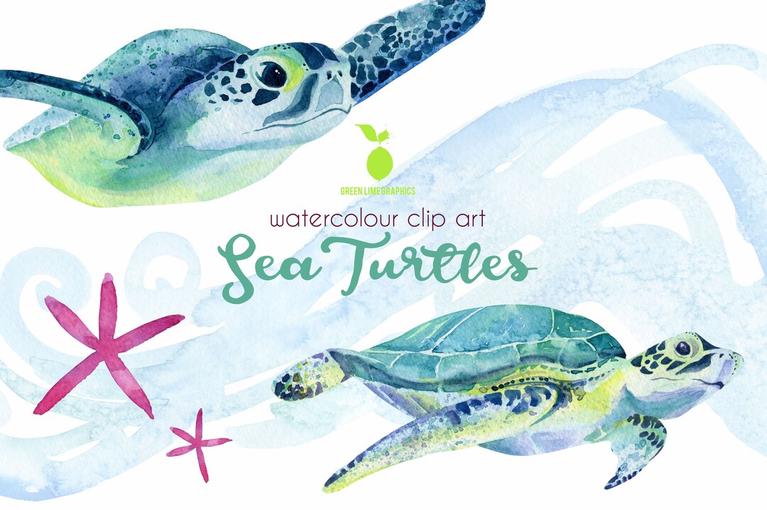 Watercolour Sea Turtles Clipart, Ocean Clipart, Sea Creatures, Turtle ...