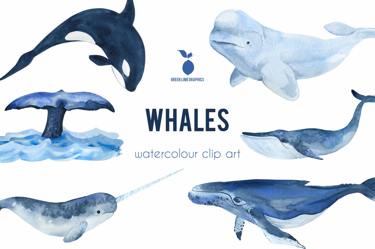 Watercolour Whales Clipart Ocean Clipart Narwhal Orca | Etsy UK
