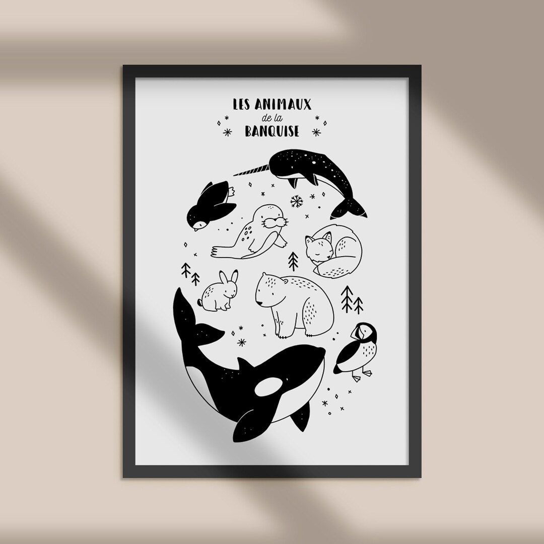 Polar Animals – Poster – Wall Decoration for Babies and Children ...