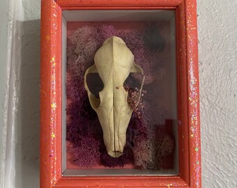 Animal Skull Shadow Box - Etsy