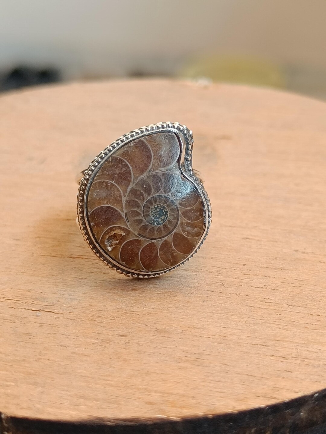 Ammonite Ring, Silver Plating Ammonite Ring, Ammonite Boho Healing Ring ...