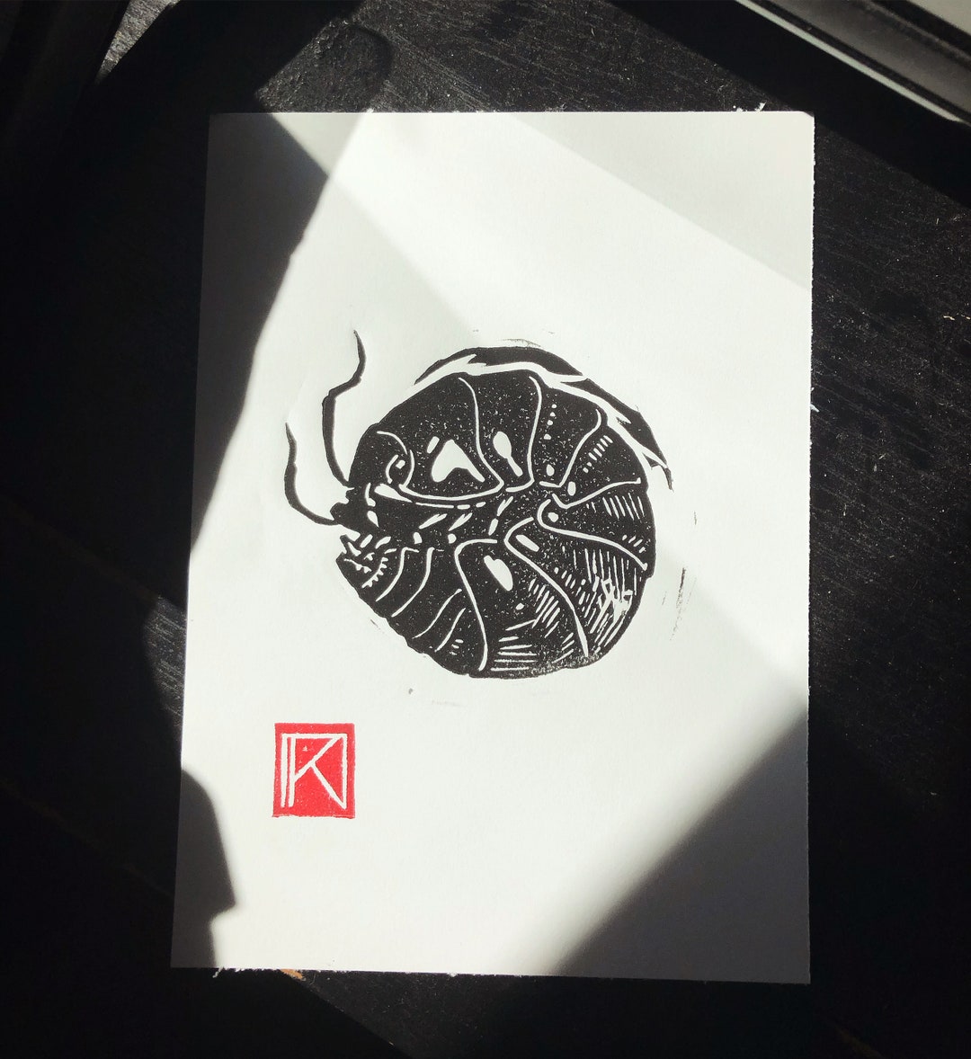 Curled Isopod Print - Etsy