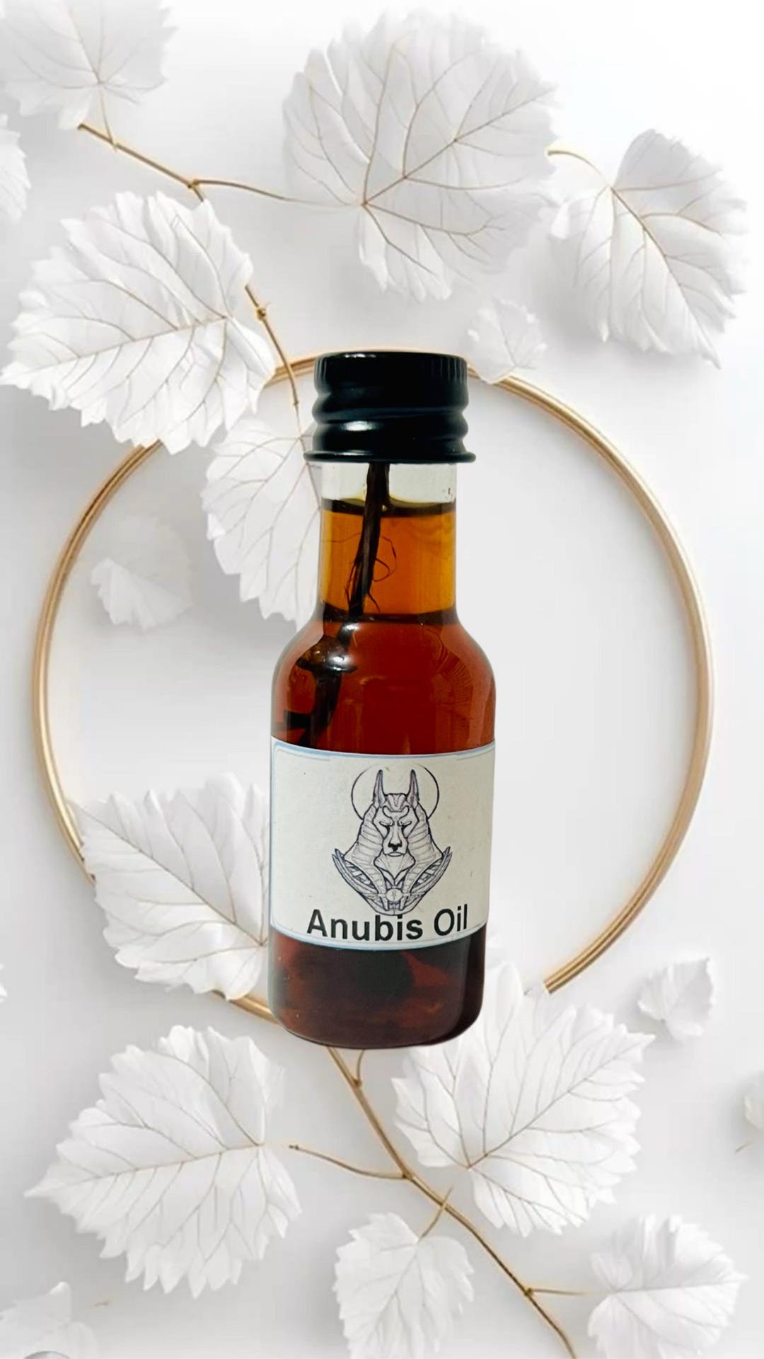 Egyptian God Anubis for Courage Healing Communication Transform for ...