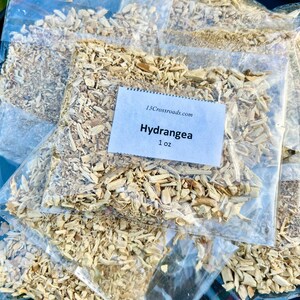 Hydrangea Root - Strength, Grounding, Protection, Love for Rootwork ...