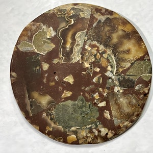Natural Ammonite Fossil Shell Plate Disk Conch Collection , Rare ...