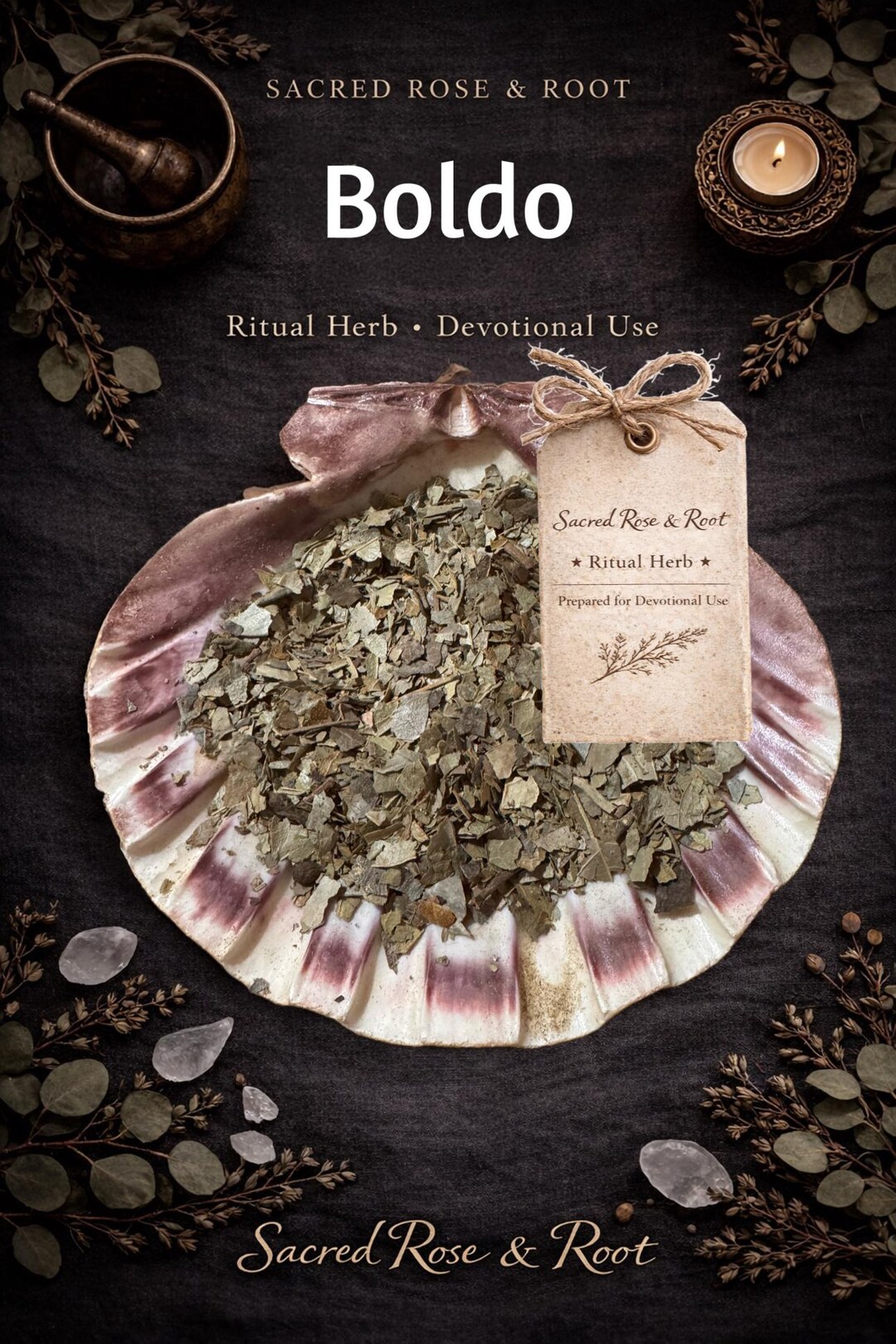 Boldo – Banishing • Repelling • Protection – Ritual Herb | Sacred Rose ...
