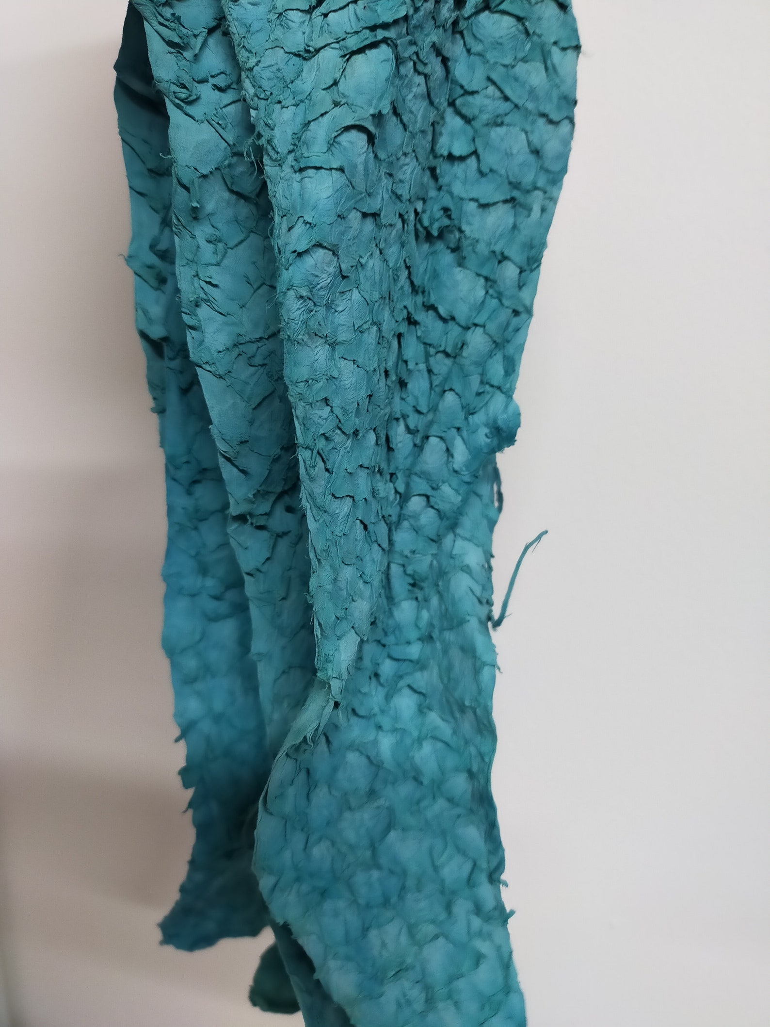 Carp Fish Skin Leather - Etsy