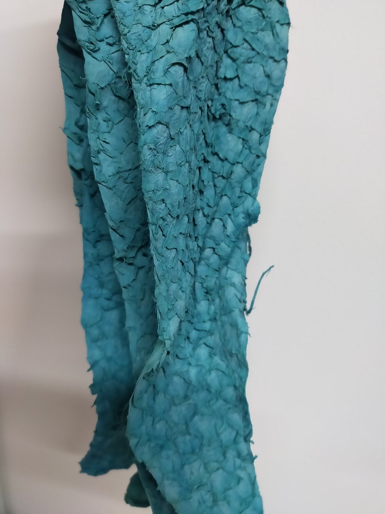 Carp Fish Skin Leather - Etsy