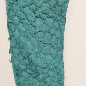 Carp Fish Skin Leather - Etsy