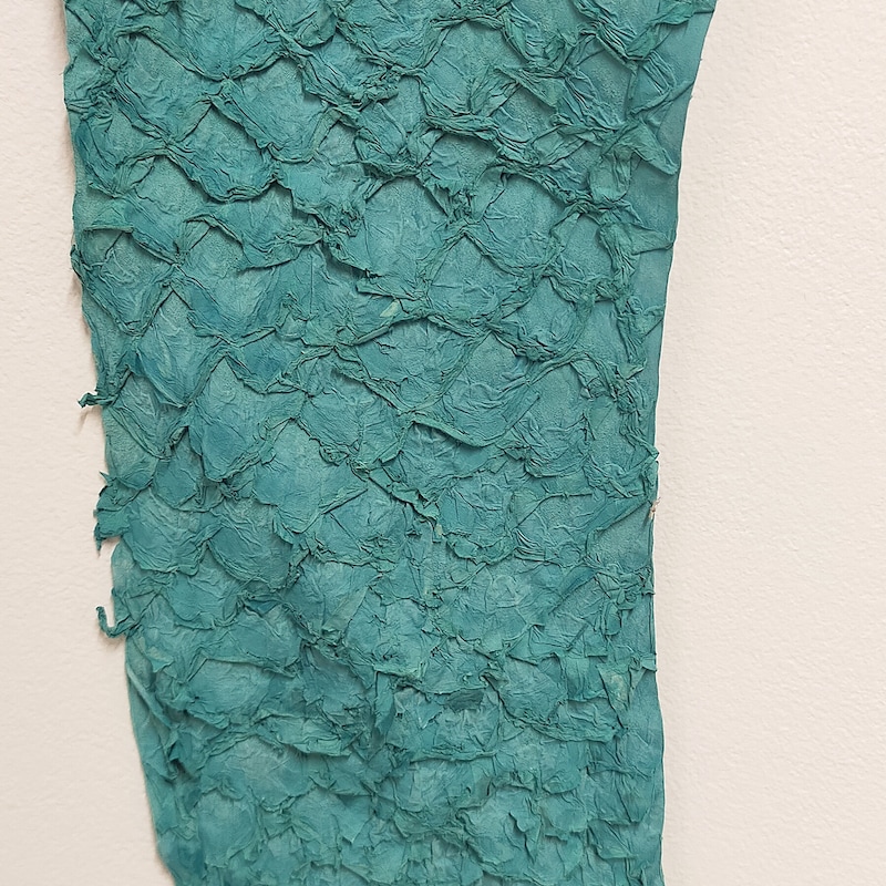 Fish Skin Leather - Etsy
