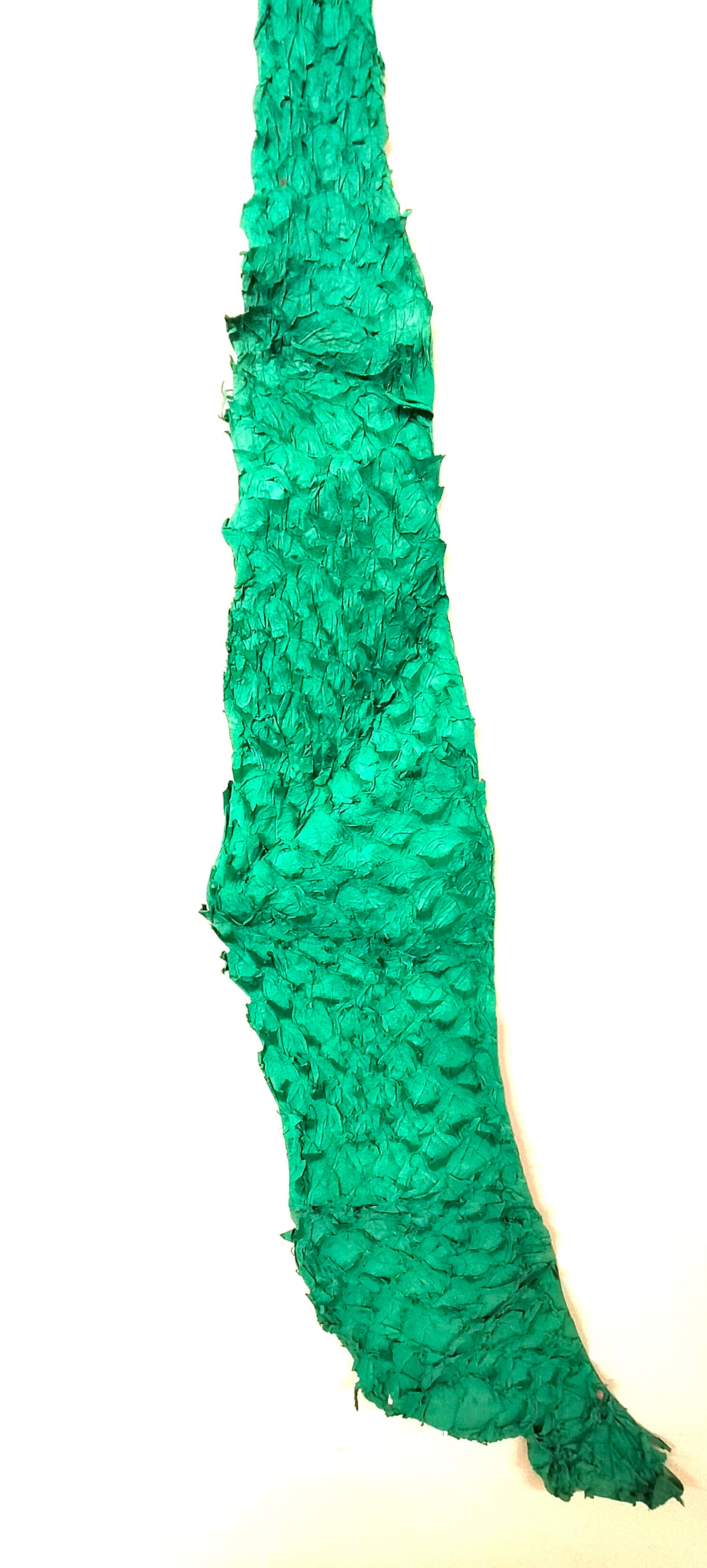 Handmade Green Carp Fish Skin Leather - Etsy